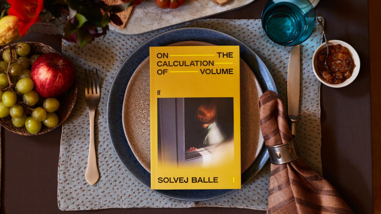 Reading guide: On the Calculation of Volume I by Solvej Balle ...