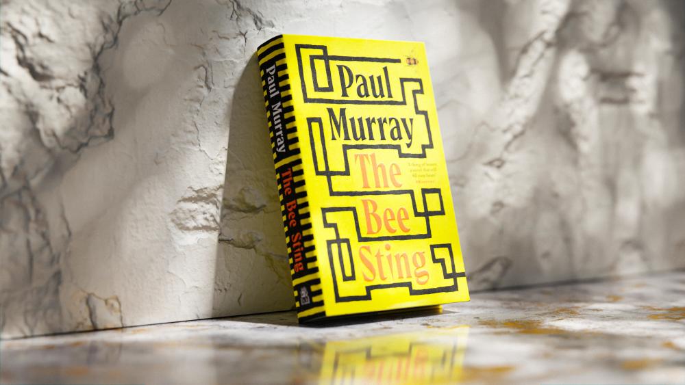 Reading guide: The Bee Sting by Paul Murray | The Booker Prizes