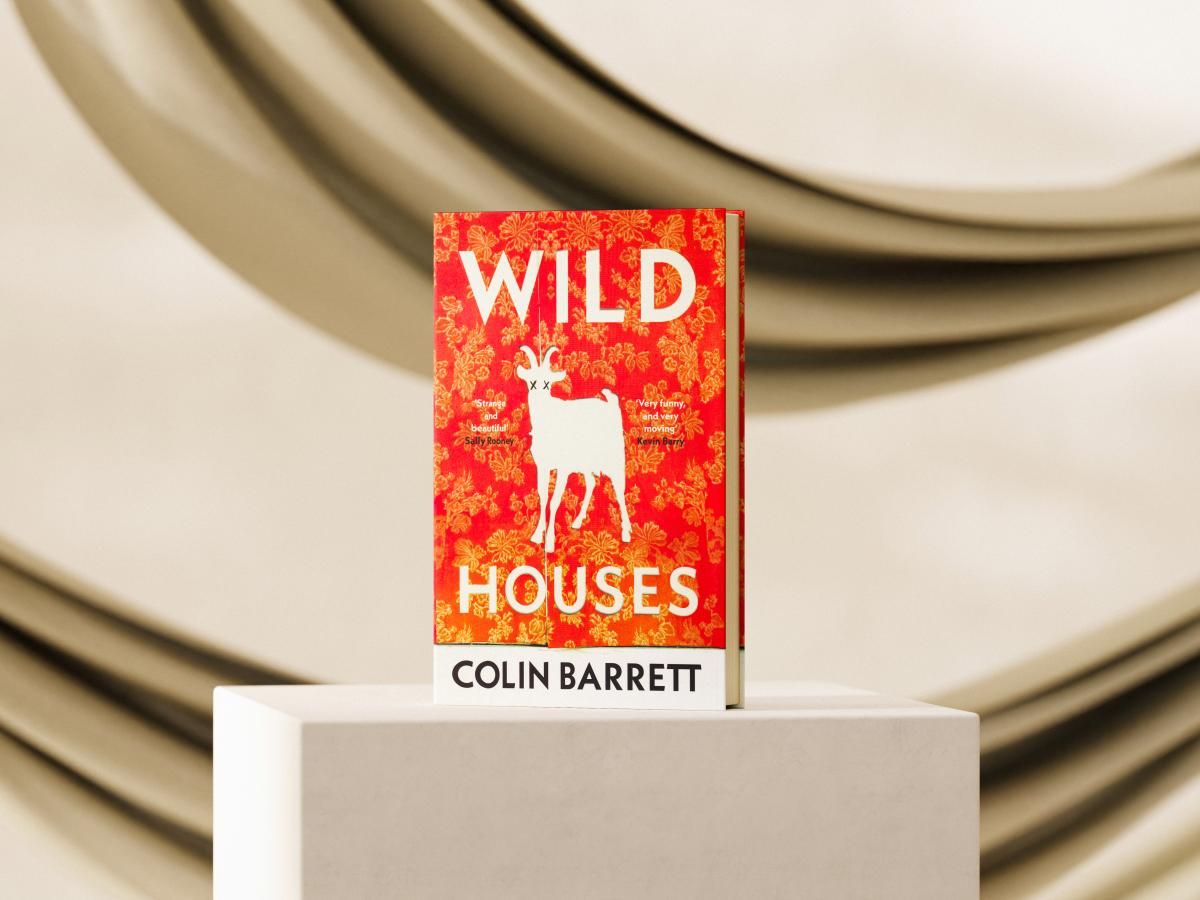 Colin Barrett interview: 'Becoming a writer was always an abstract ...
