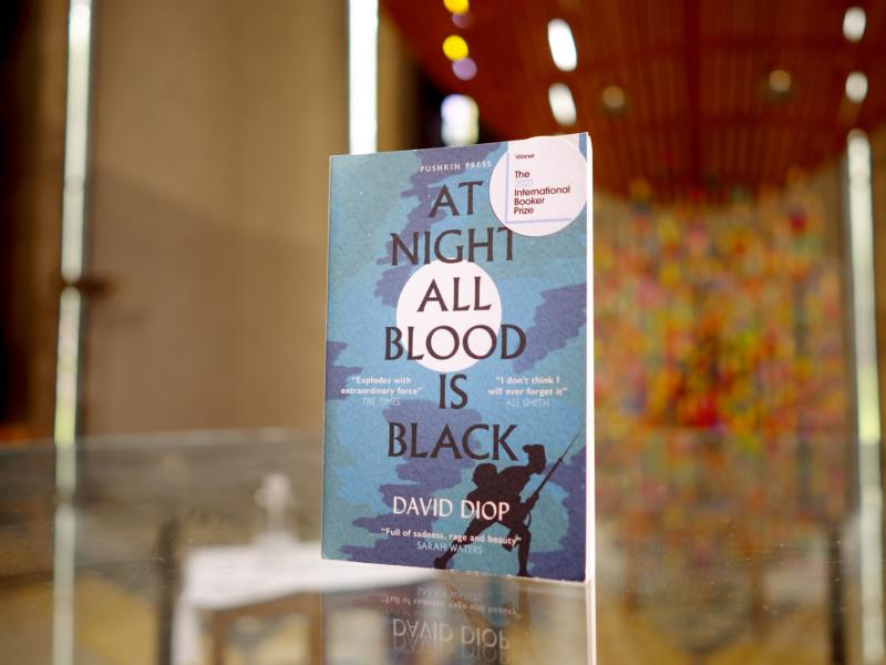 At Night All Blood Is Black | The Booker Prizes