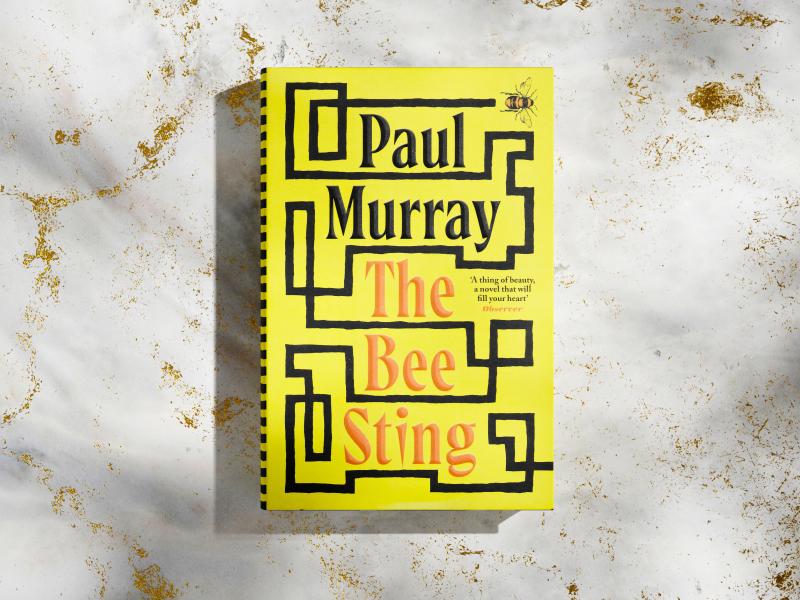 Reading guide: The Bee Sting by Paul Murray | The Booker Prizes