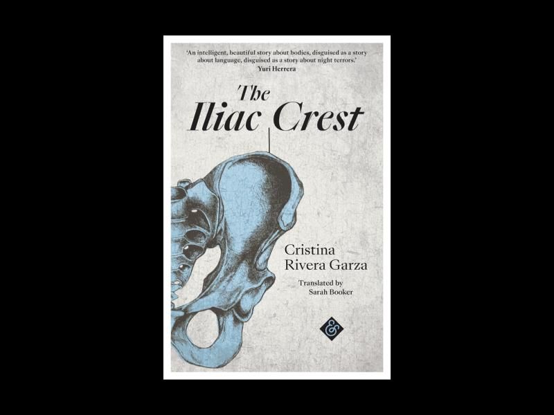 An interview with Dahlia de la Cerda, Julia Sanches and Heather Cleary ...